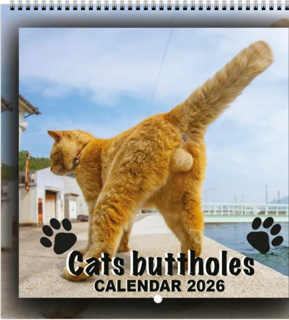 Humor-Filled Daily Calendar – Glorex